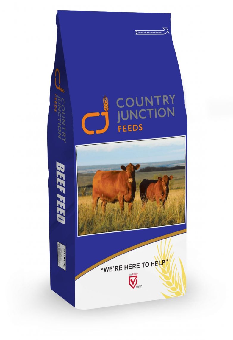 Jr. Show Beef Starter / Grower – T-Link Feed Supply